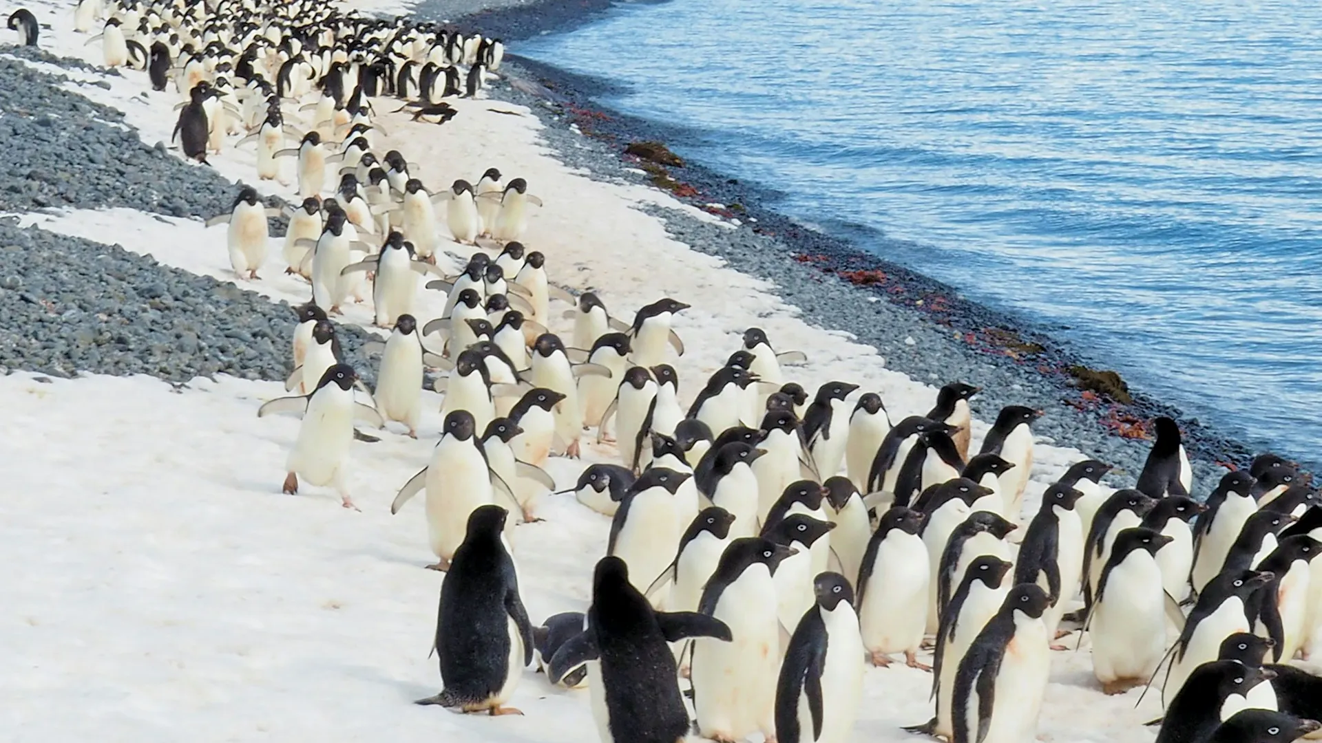 All aboard the Linux train - Joshua Unlimited